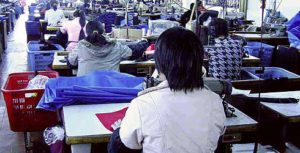 Cut & Sew - CMS World Group